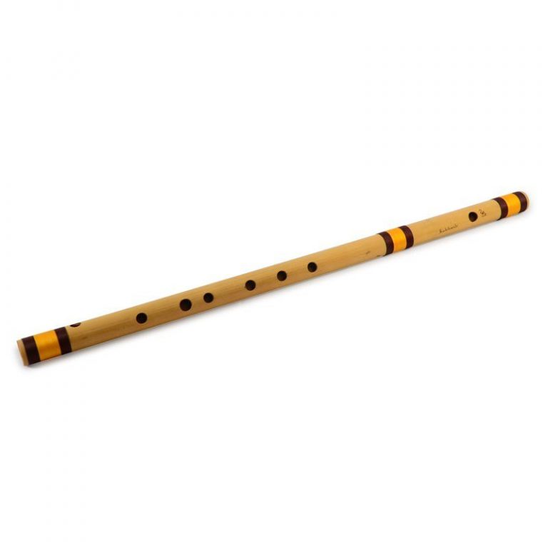 9 Practice Techniques Playing Carnatic Violin for Beginners - SaPa